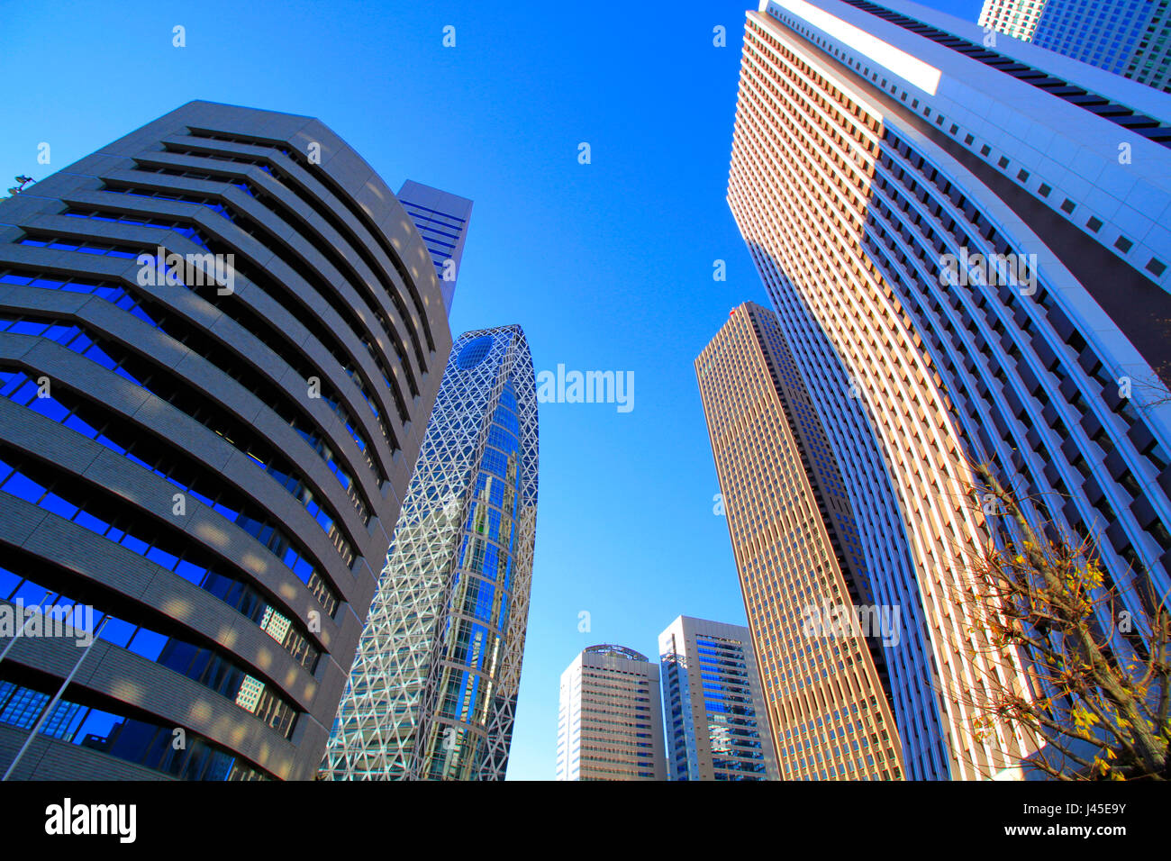 Shinjuku Skyscrapers Tokyo Japan Stock Photo - Alamy