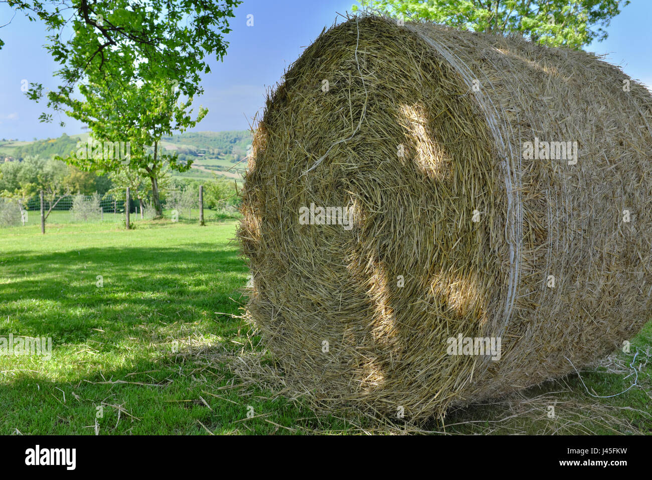 Round hay bale hi-res stock photography and images - Alamy