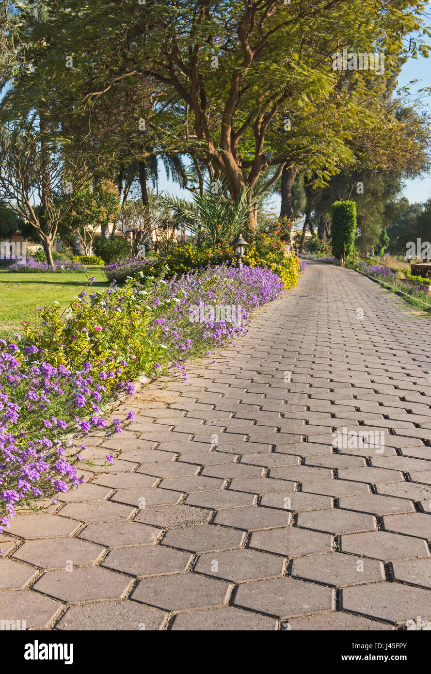 Stone footpath through flowering bushes and trees in tropical ...