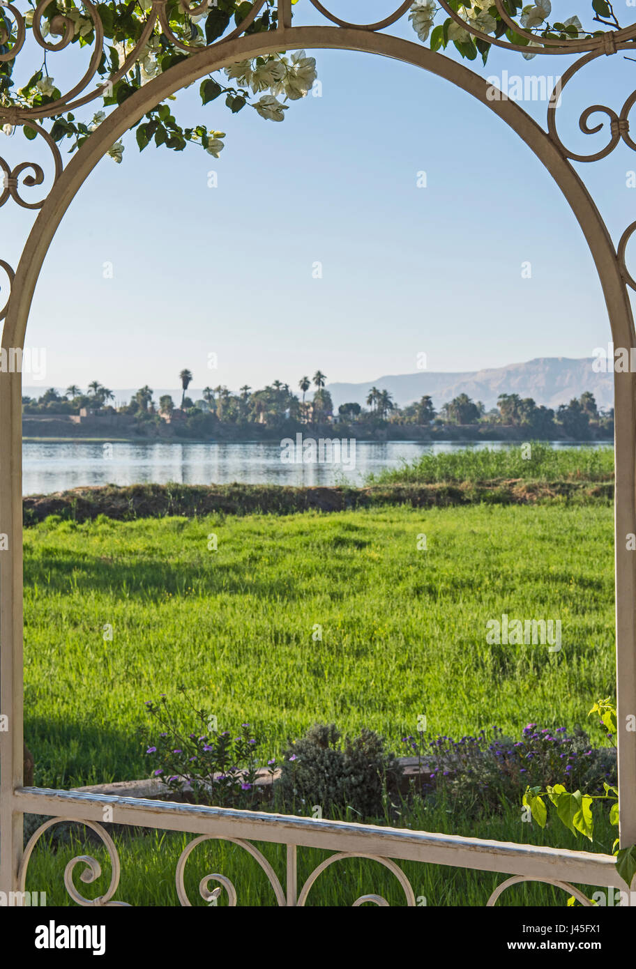 Trellis framework hi-res stock photography and images - Alamy
