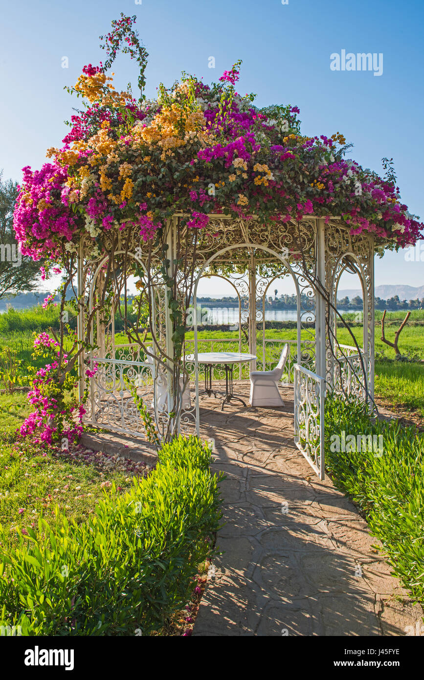 Steel metal pagoda pavilion with table and chairs in formal rural ...
