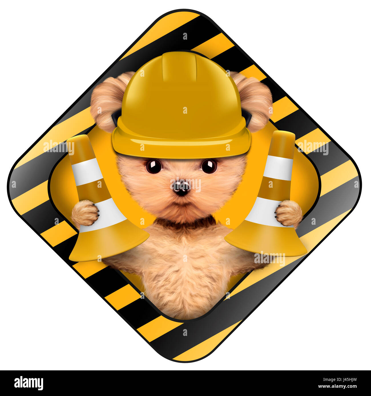 Puppy hard hat tools hi-res stock photography and images - Alamy