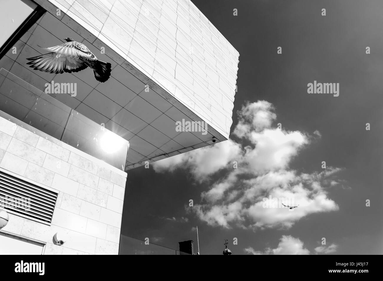 Mid summer scene Black and White Stock Photos & Images - Alamy
