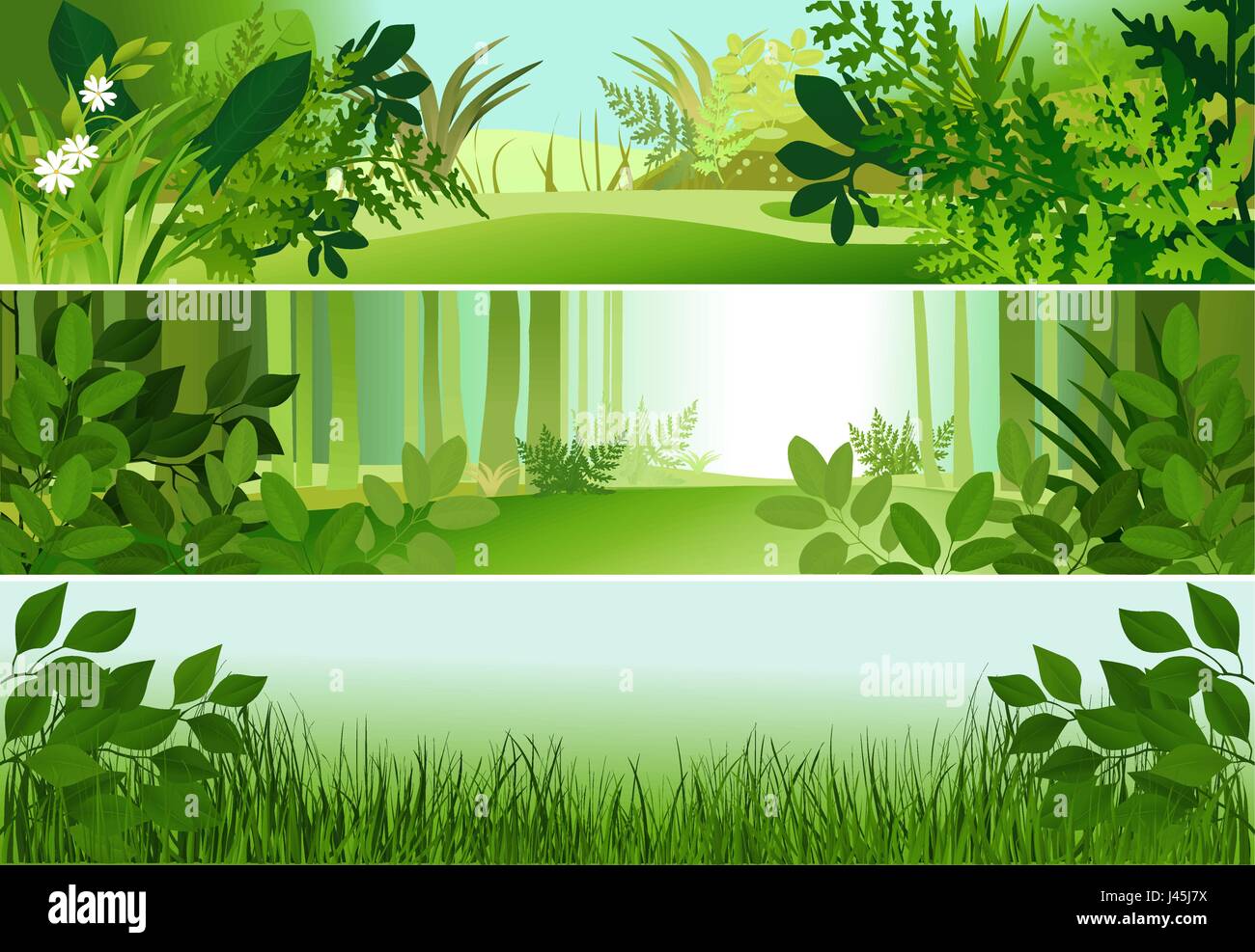 Three forest banners Stock Vector Image & Art - Alamy