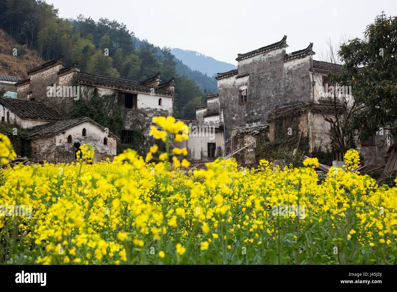 Rural scenery of Wuyuan County,Jiangxi Province,China Stock Photo - Alamy