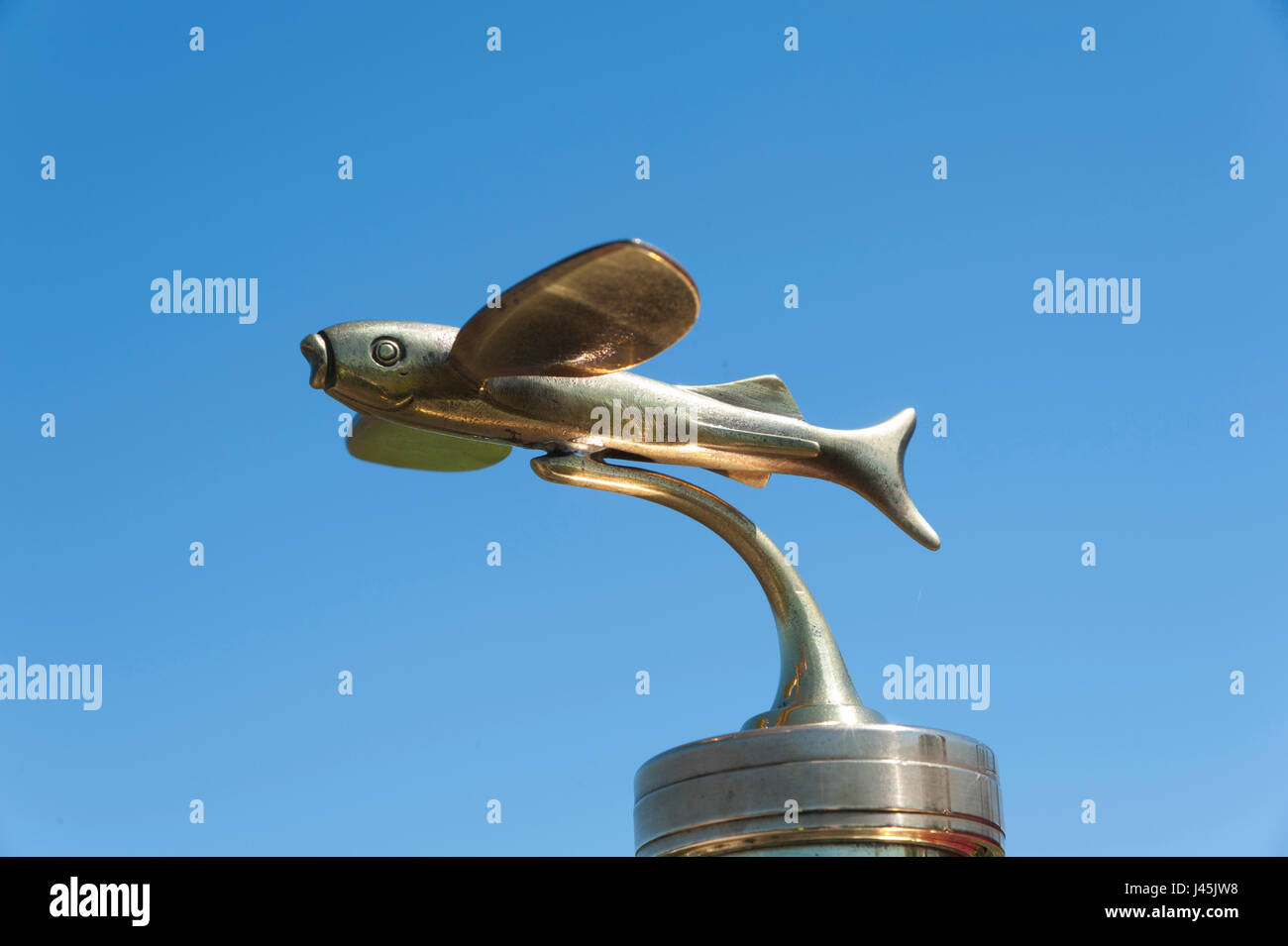 Car mascot hi-res stock photography and images - Alamy