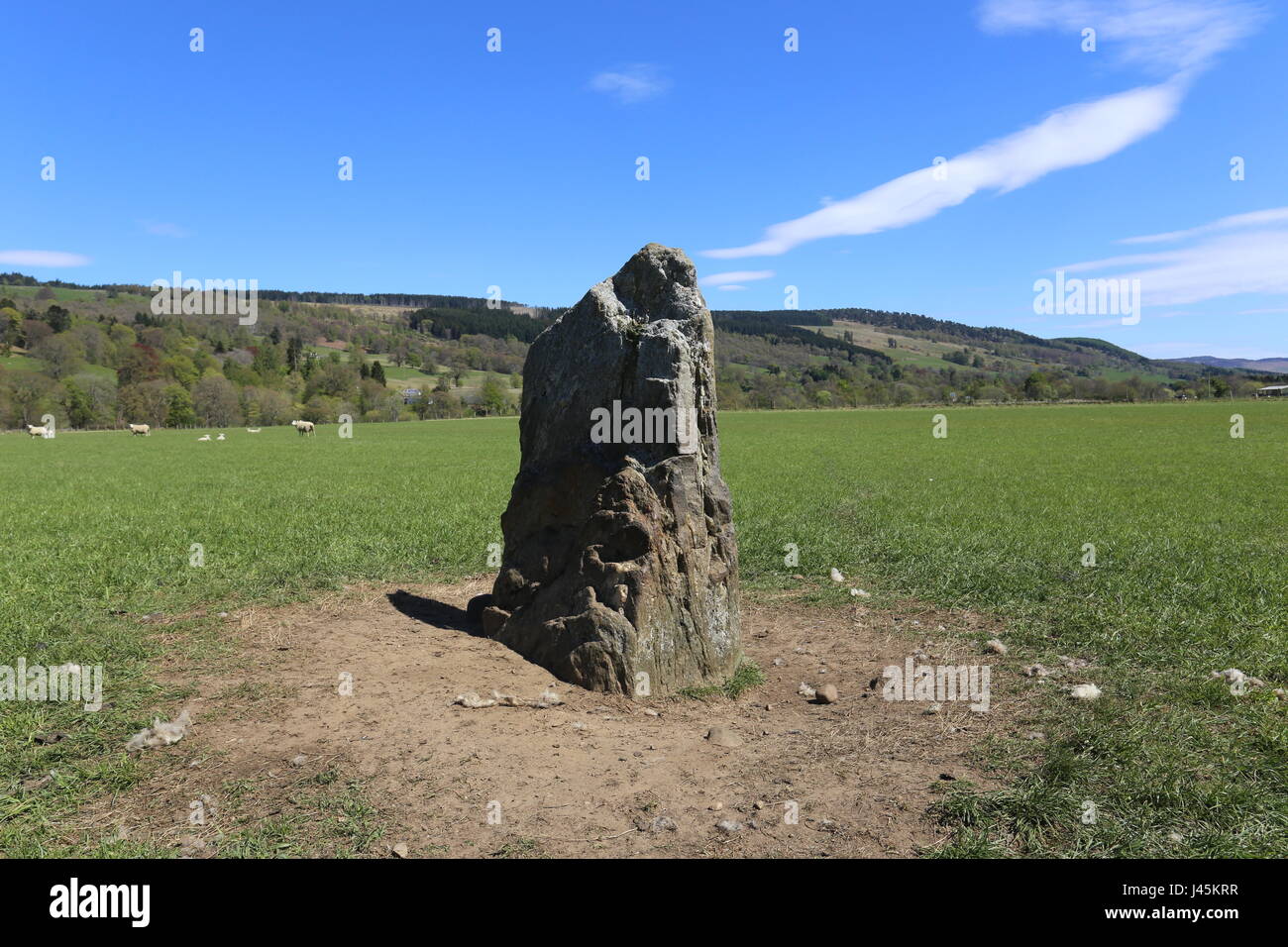Standing stone Haugh Of Grandtully Farm Scotland May 2017 Stock Photo ...