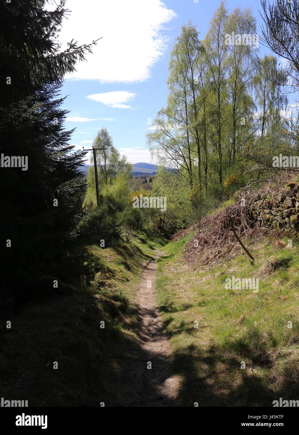Rob Roy Way between Grandtully and Pitlochry Scotland May 2017 Stock ...