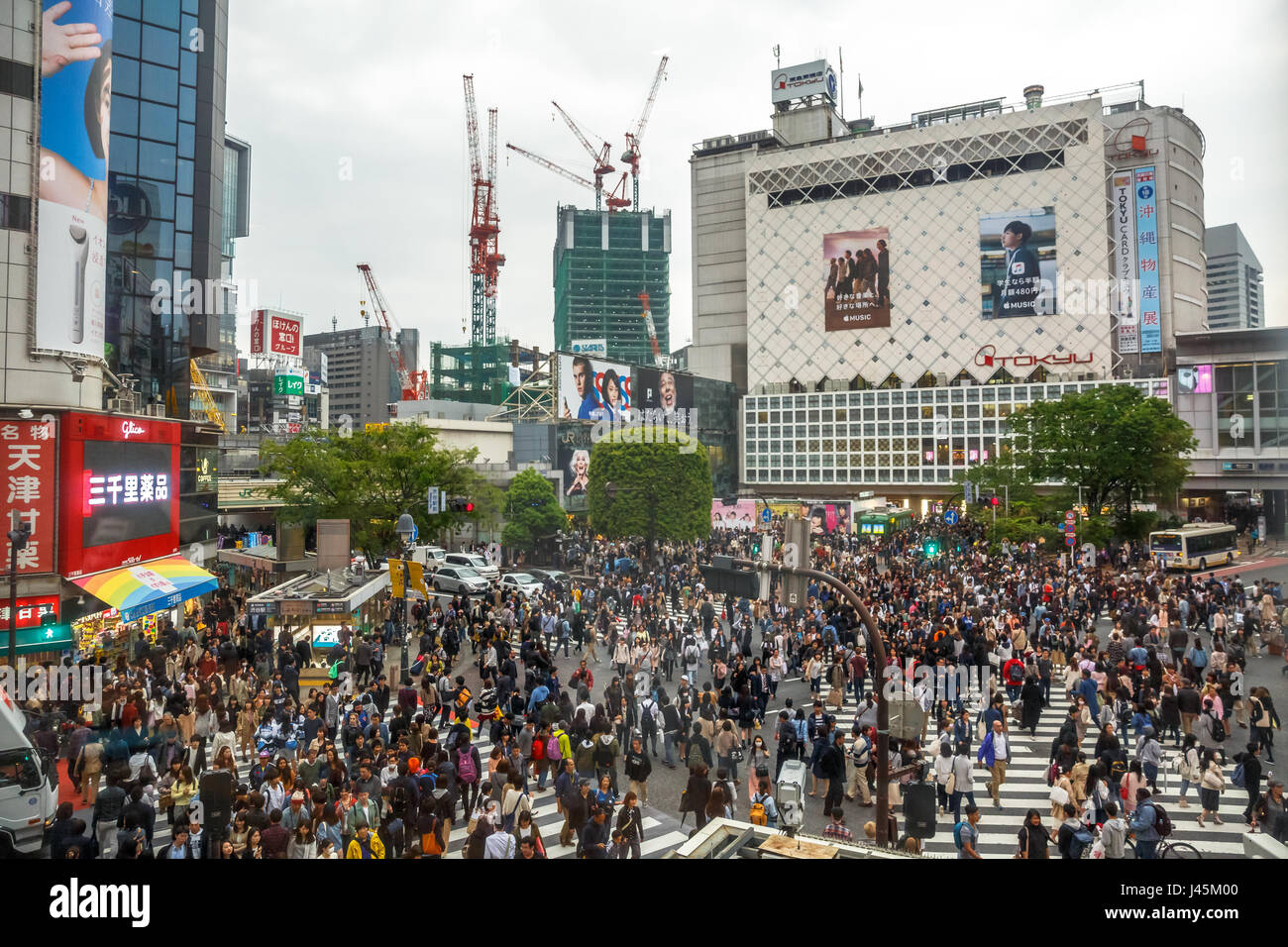 Aerial view crossing famous shibuya hi-res stock photography and images - Alamy