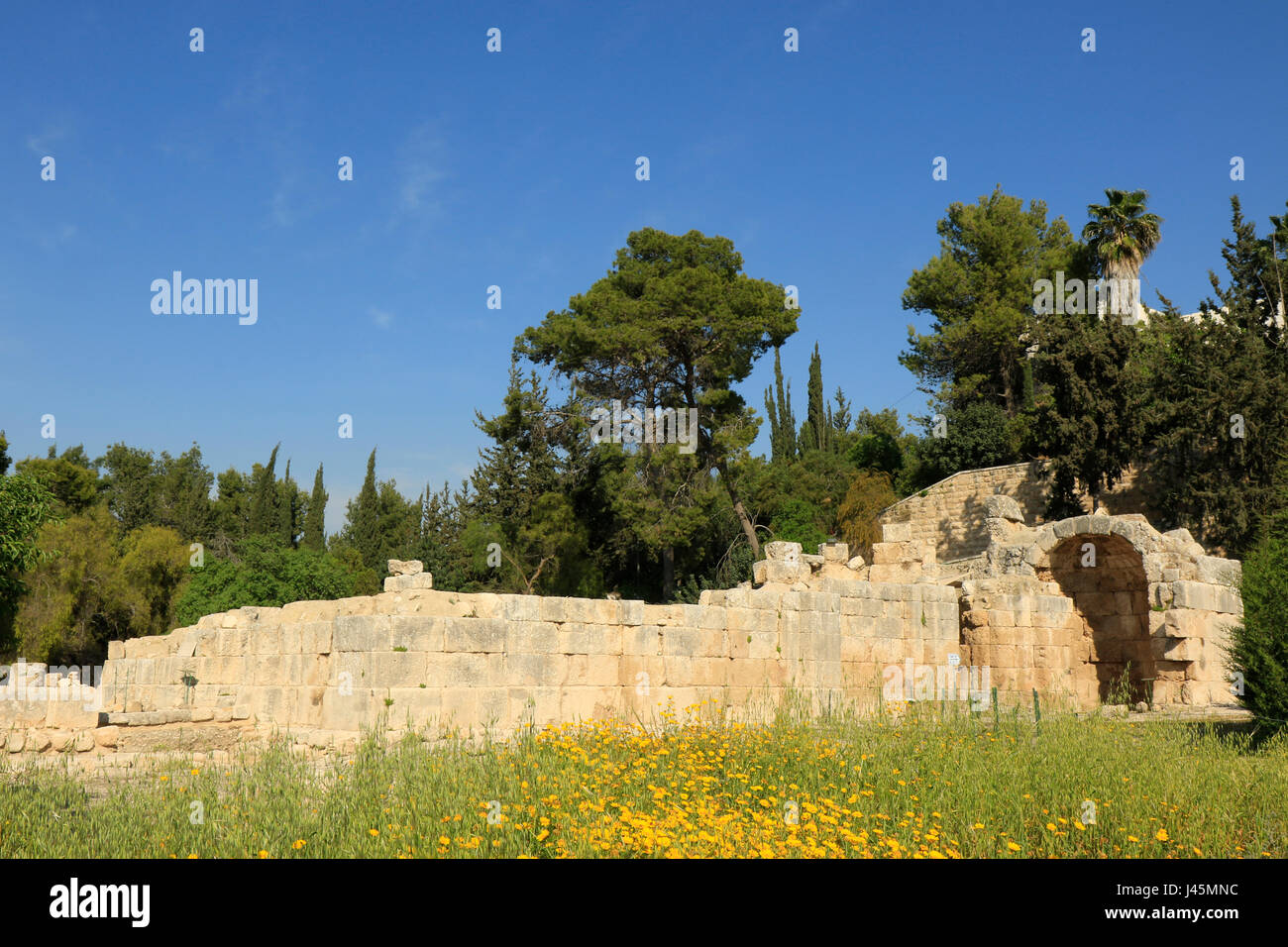 Israel, ruins of a Byzantine-Crusader Basilica at Emmaus-Nicopolis ...