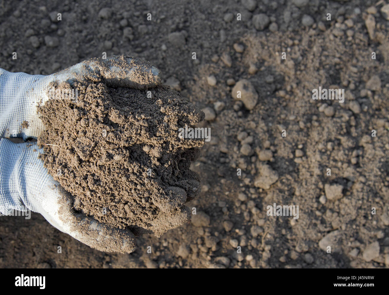 Hands holding a handful of earth Stock Photo - Alamy
