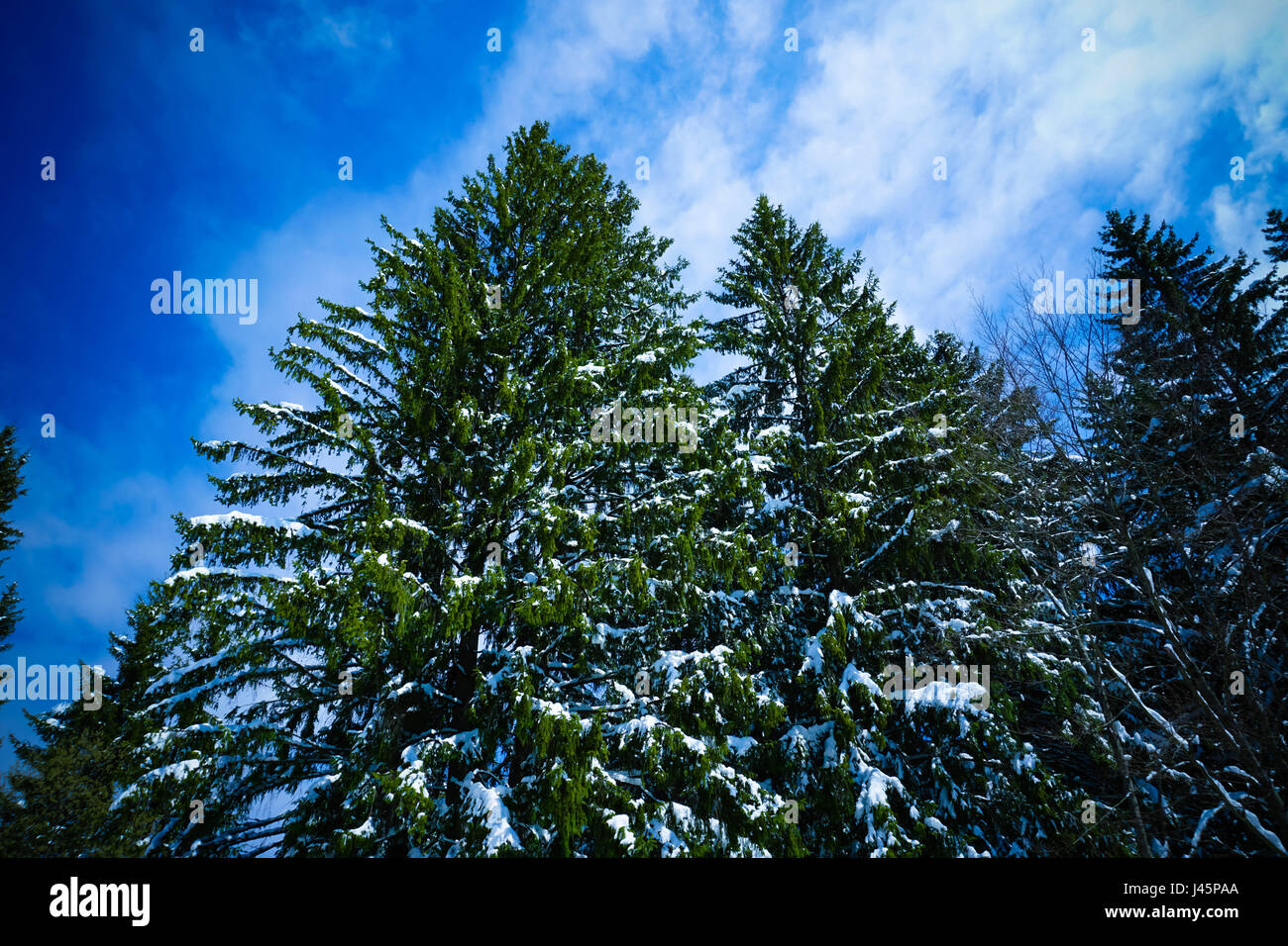Mountain range aerial cascades hi-res stock photography and images - Alamy
