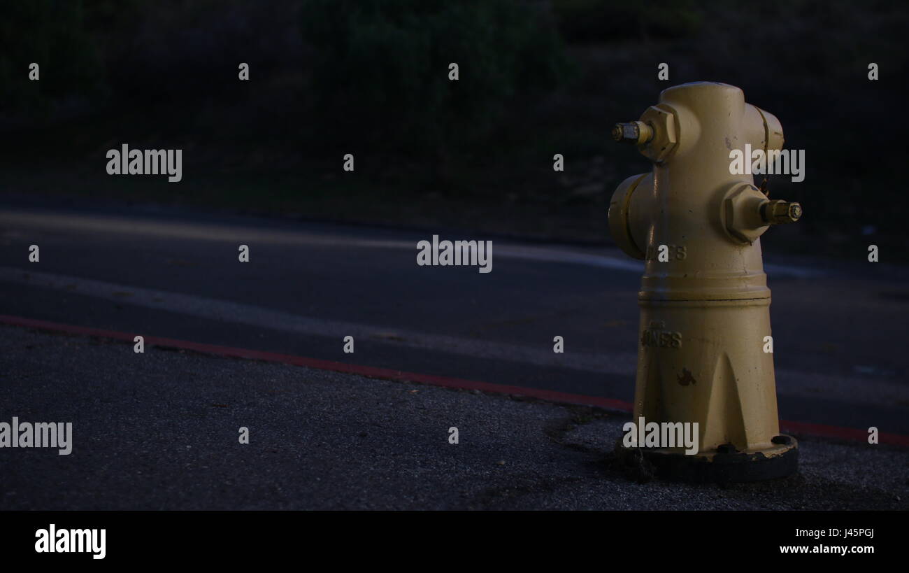 Fire hydrant in bush hi-res stock photography and images - Alamy