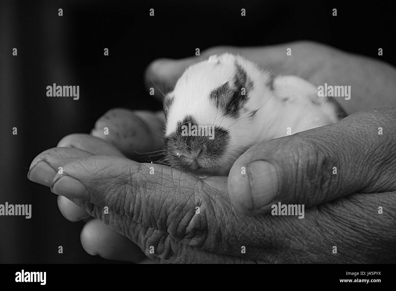 Old Man Black and White Stock Photos & Images - Alamy