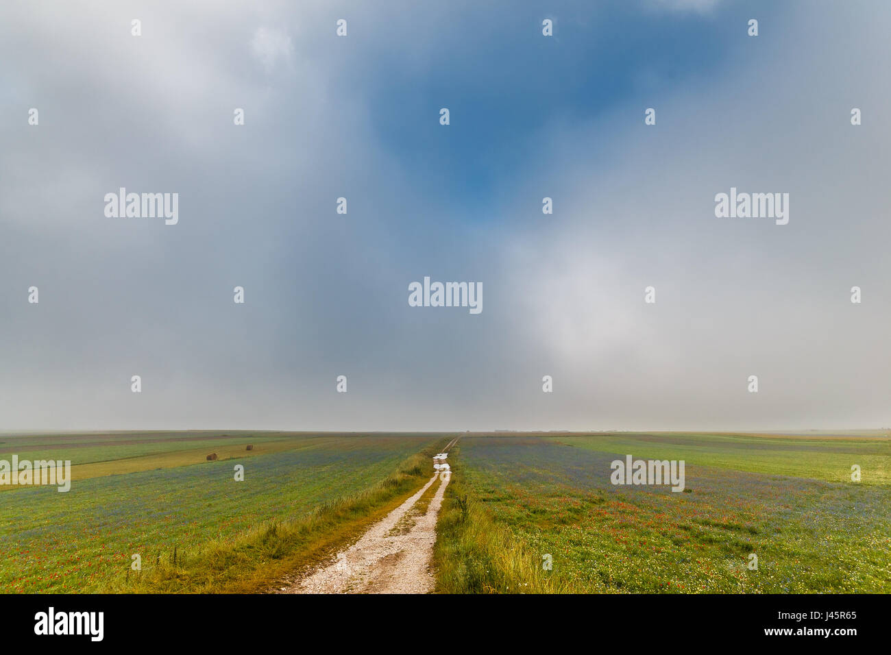 A very long country road, apparently ending on a wall of clouds, in the ...