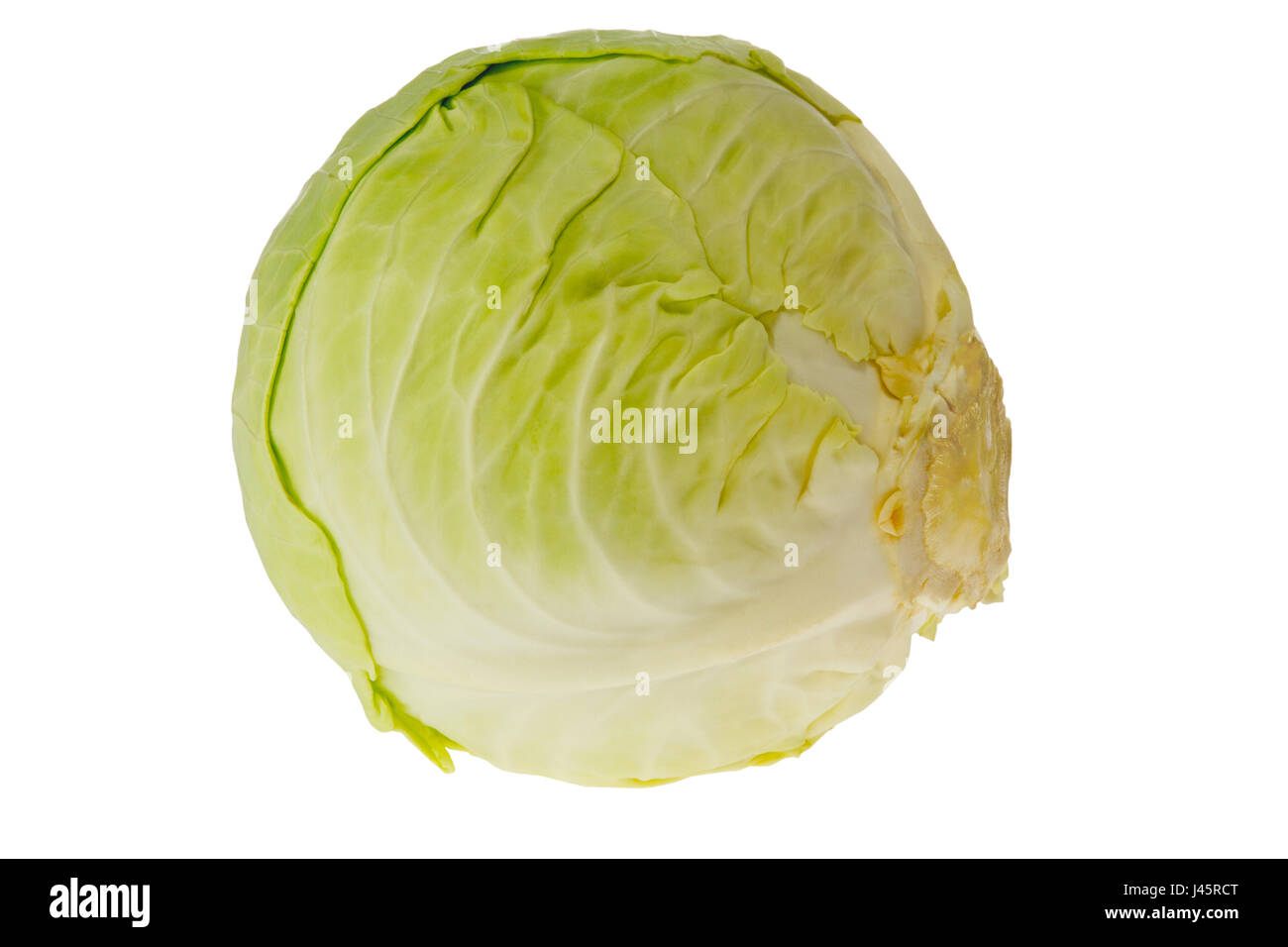 a vegetable sprouts close-up on white background Stock Photo - Alamy