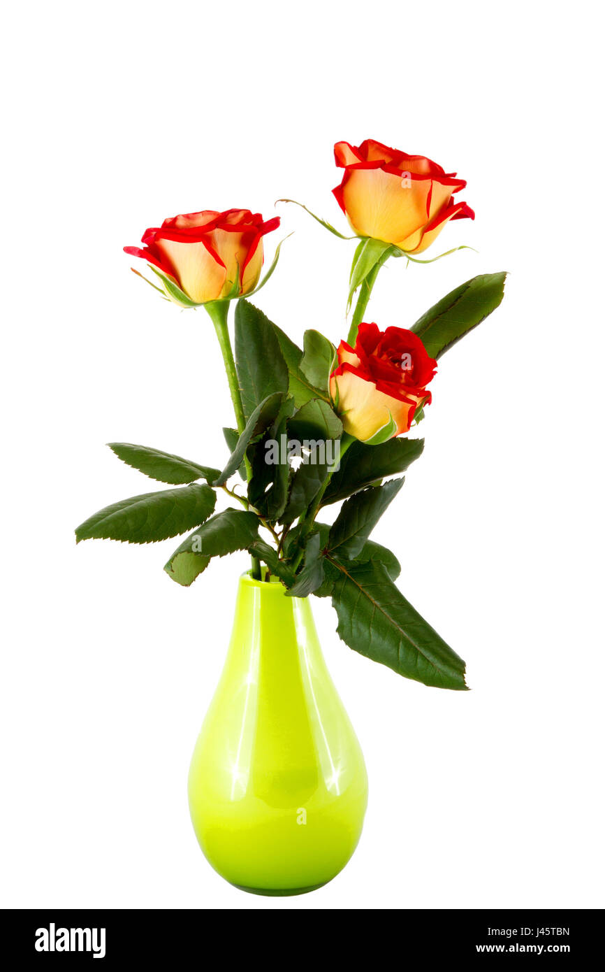 a three red roses in a green vase Stock Photo - Alamy