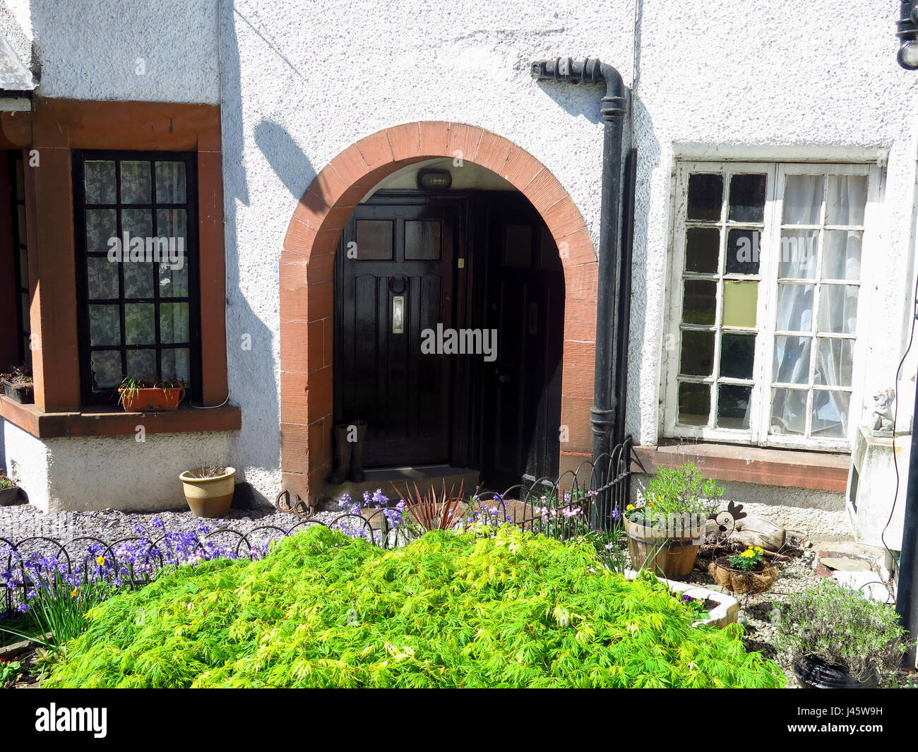 Pretty front door and garden on white cottage Stock Photo - Alamy