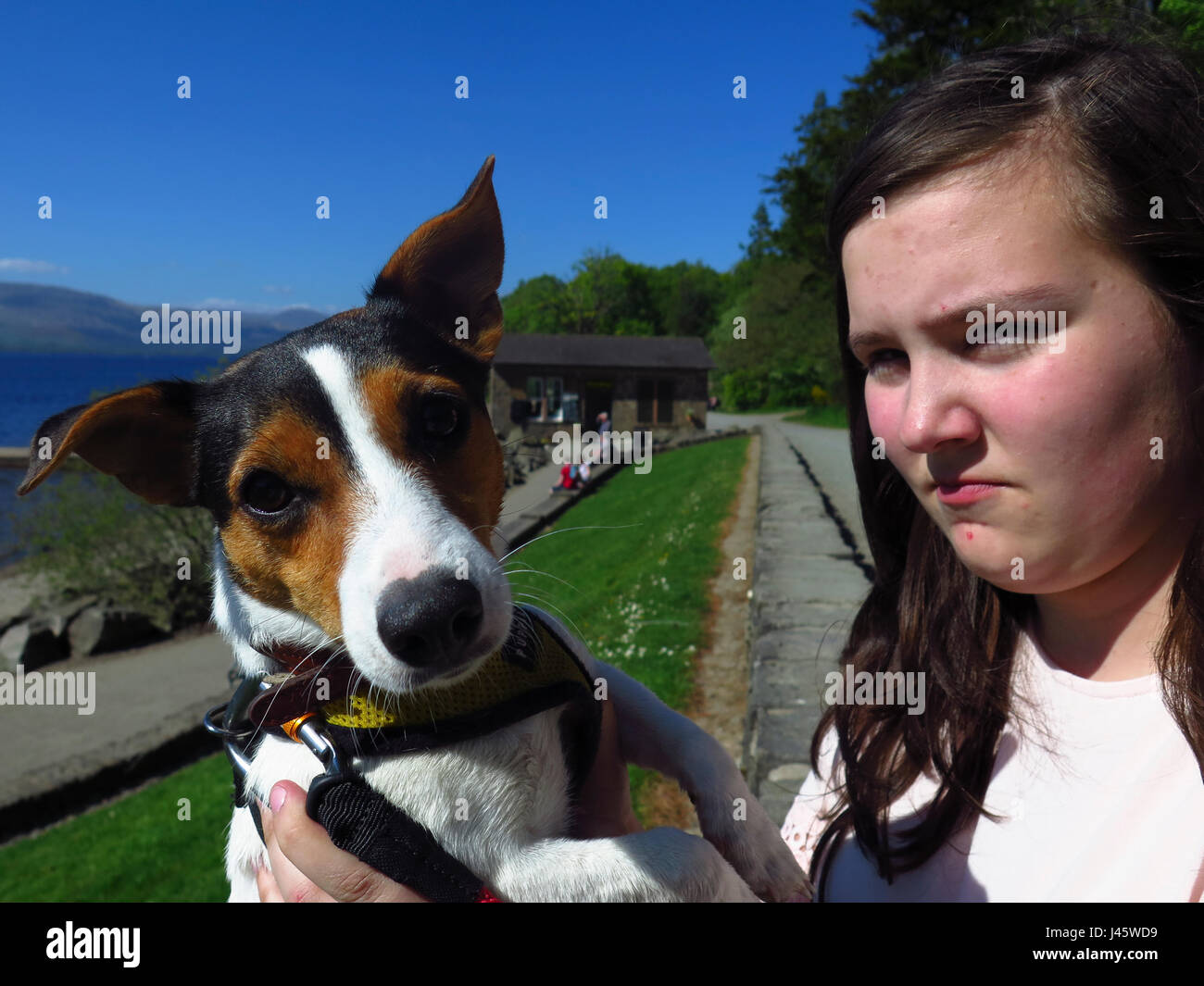 Grumpy girl with dog Stock Photo - Alamy