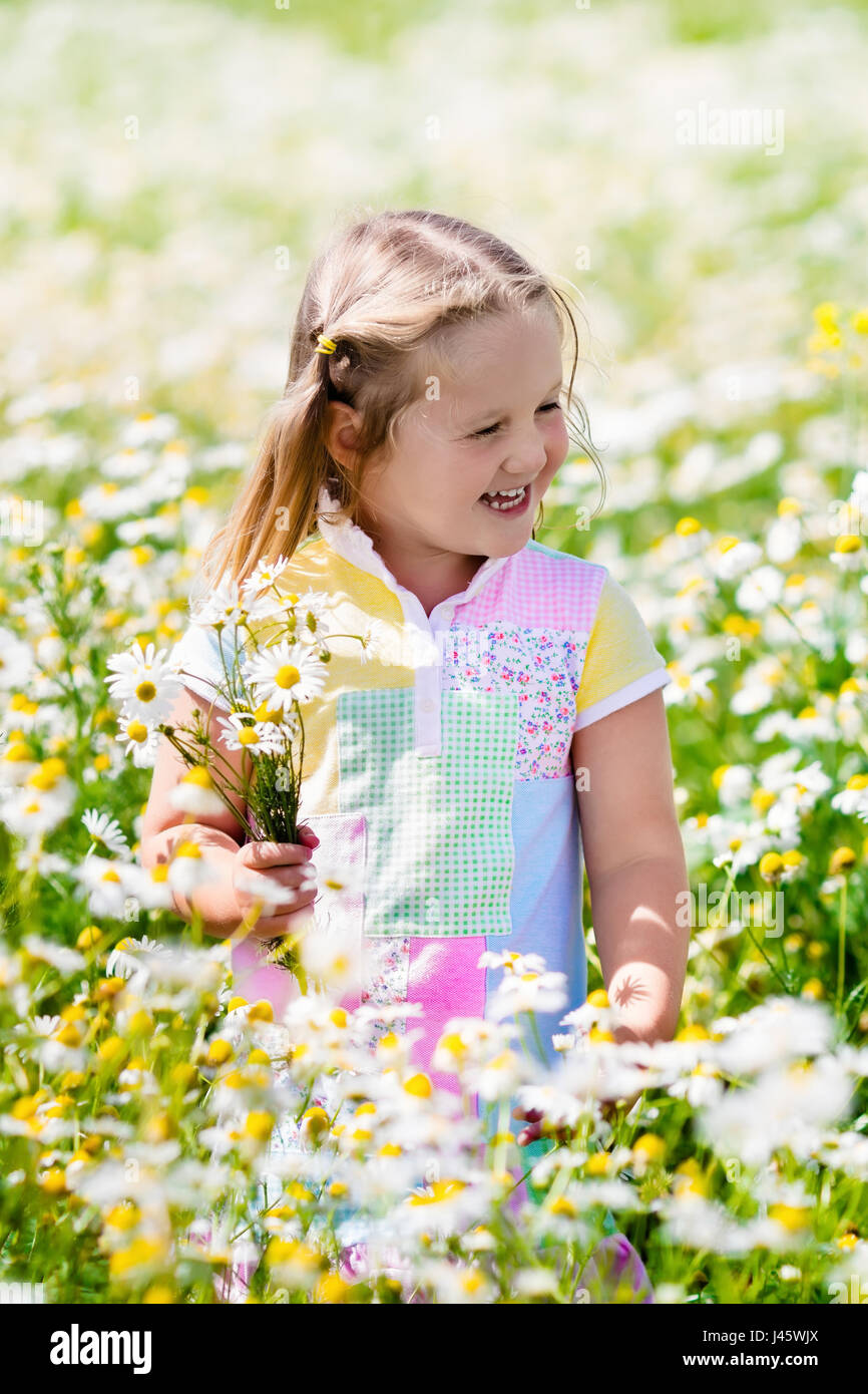 Child playing in daisy field. Girl picking fresh flowers in daisies ...