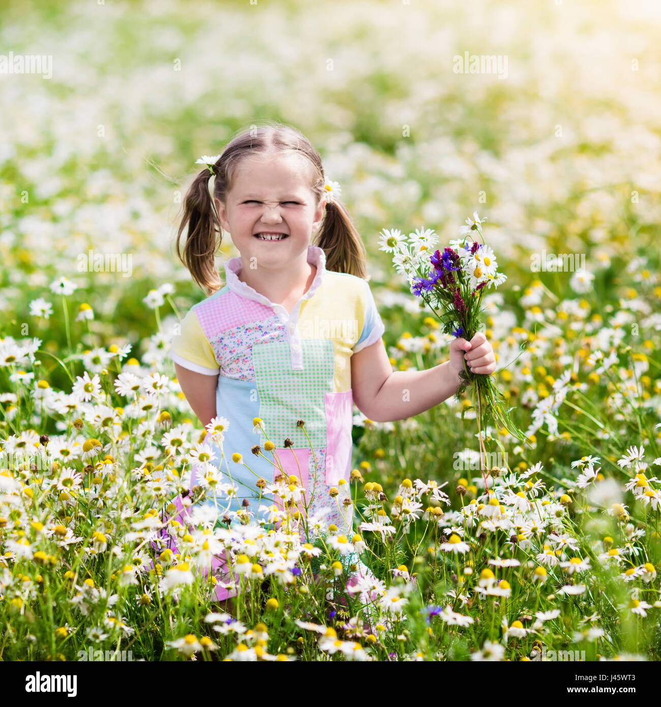 Child playing in daisy field. Girl picking fresh flowers in daisies ...