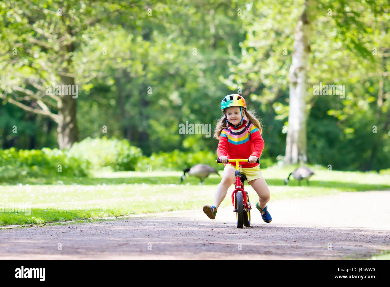 Child riding balance bike. Kids on bicycle in sunny park. Little girl ...