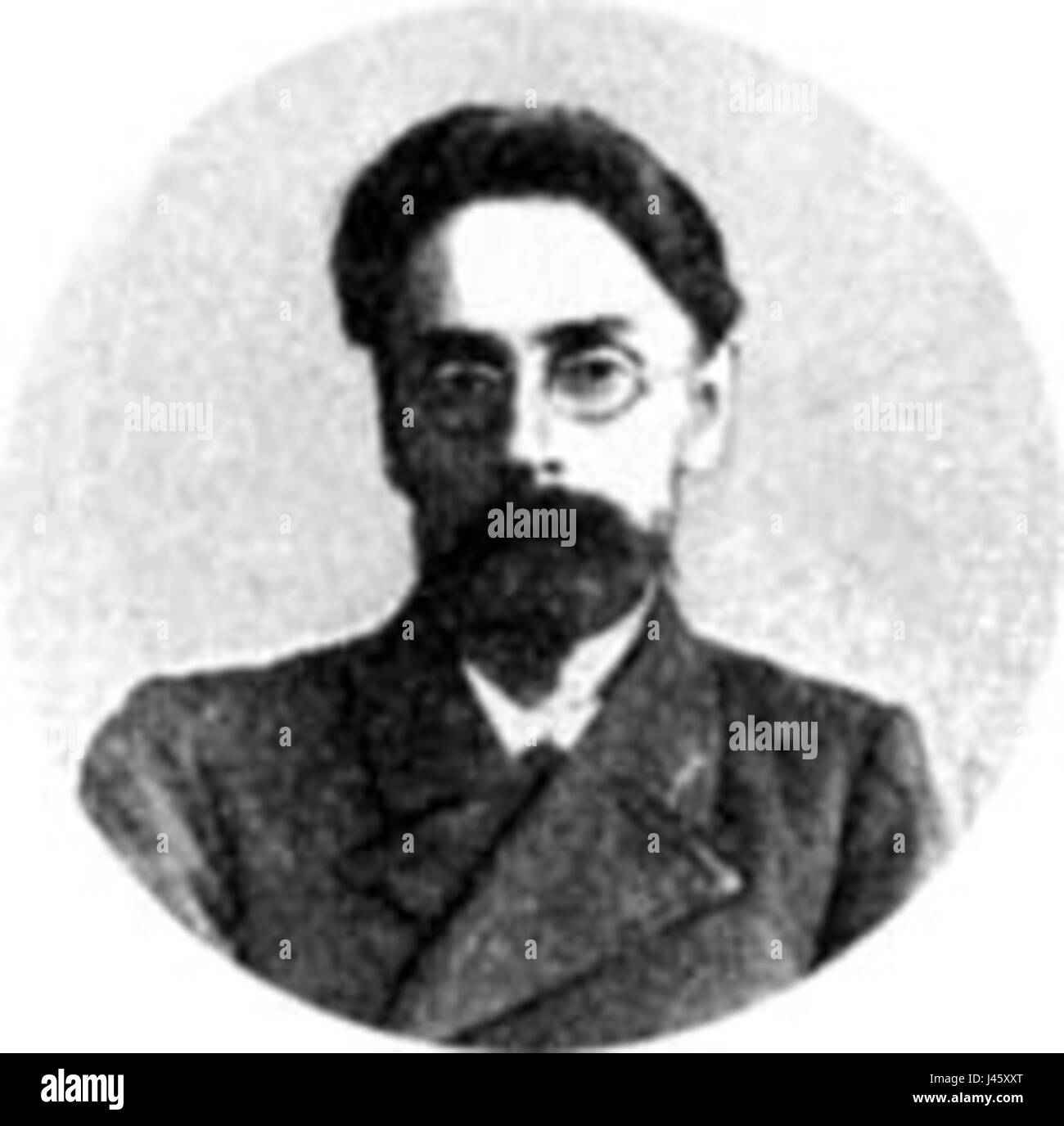 Nikolay Yakovlevich Konshin Stock Photo - Alamy