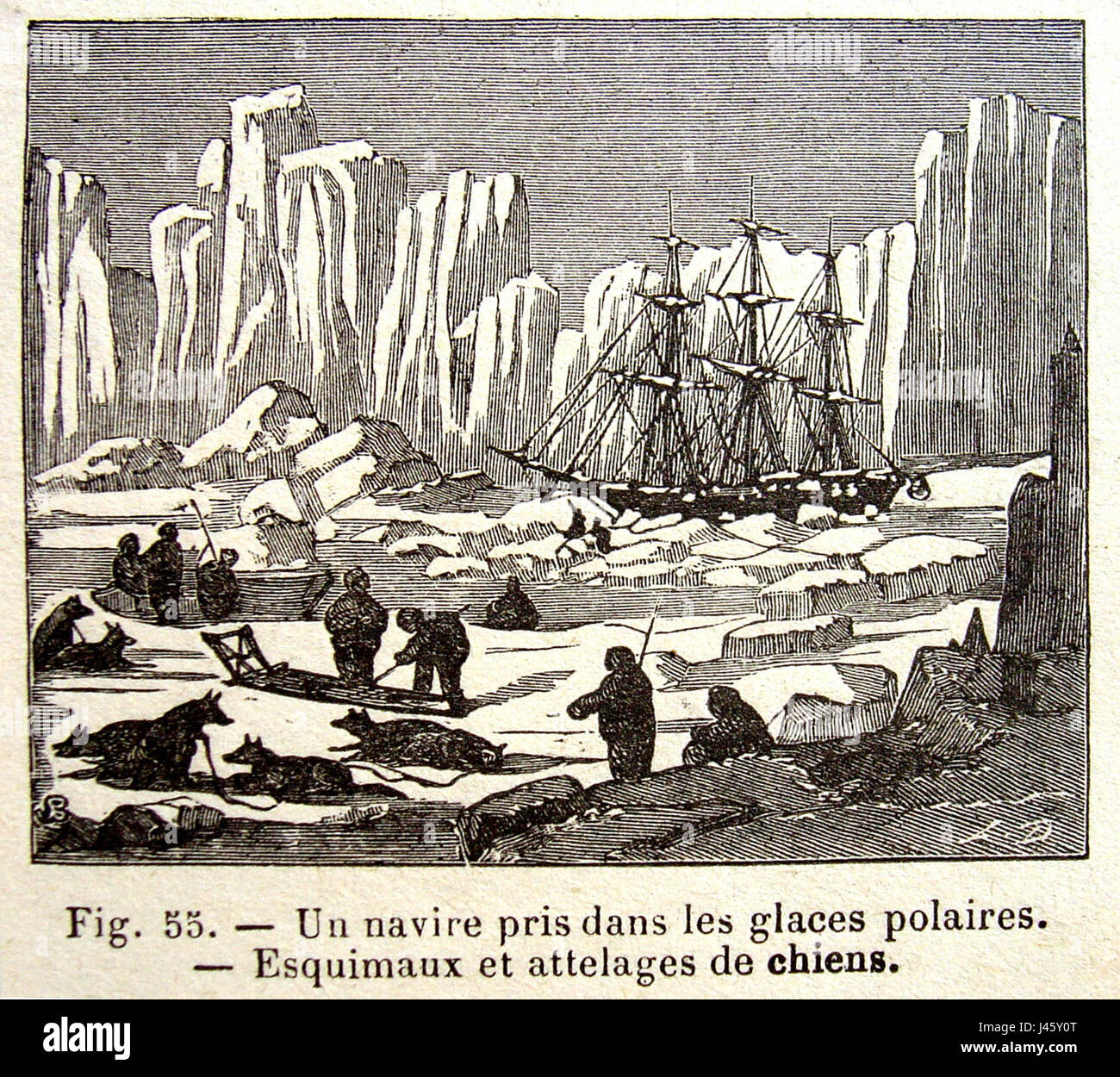 'Navire pol' refers to a polar vessel designed for navigation in Arctic ...