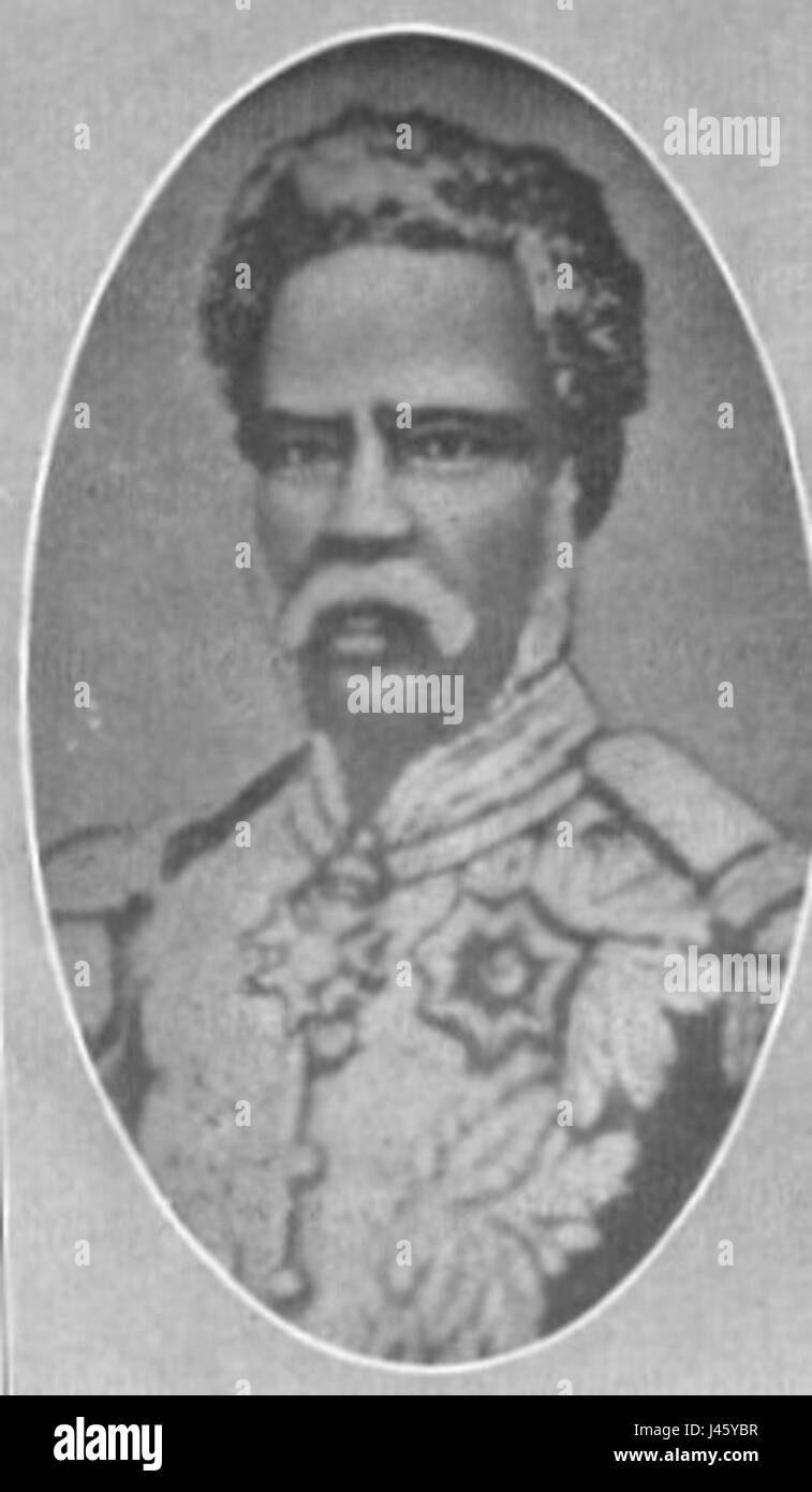 Nissage saget hi-res stock photography and images - Alamy