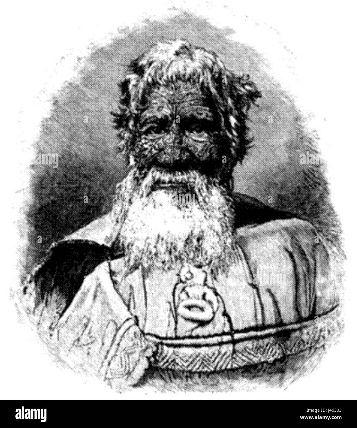 *Patuone* is a portrait painting by Augustus Earle depicting a MÄ ori ...