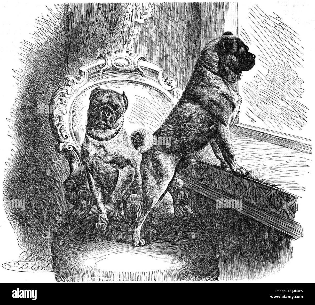 Mops art hi-res stock photography and images - Alamy