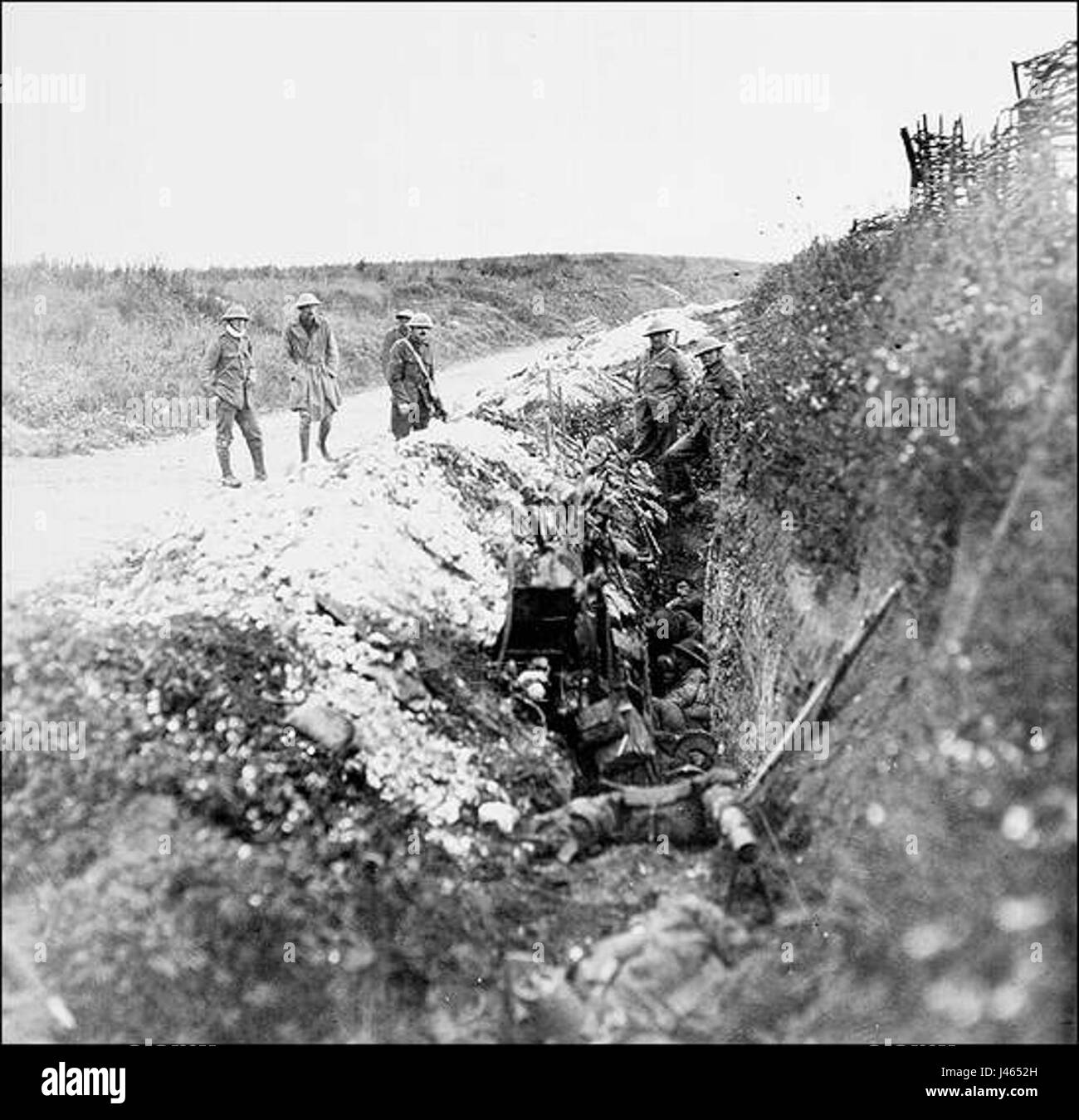 Newfoundland soldiers in 1916 were part of the military forces during ...