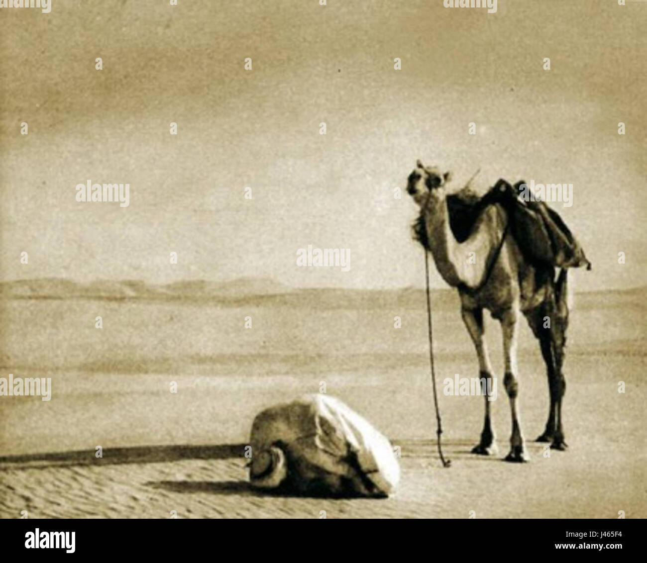 Nomad society hi-res stock photography and images - Alamy