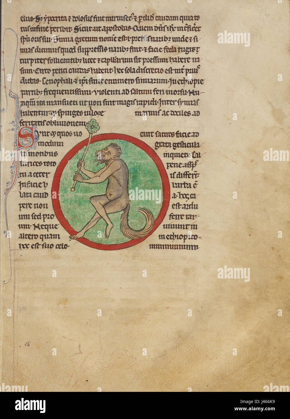 The Northumberland Bestiary is an illuminated manuscript from the ...