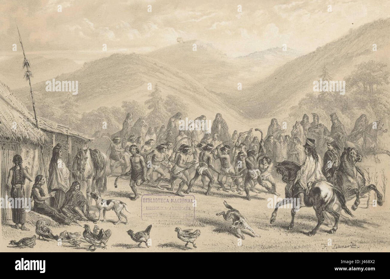 Palin Mapuche refers to a traditional term from the Mapuche culture, an ...