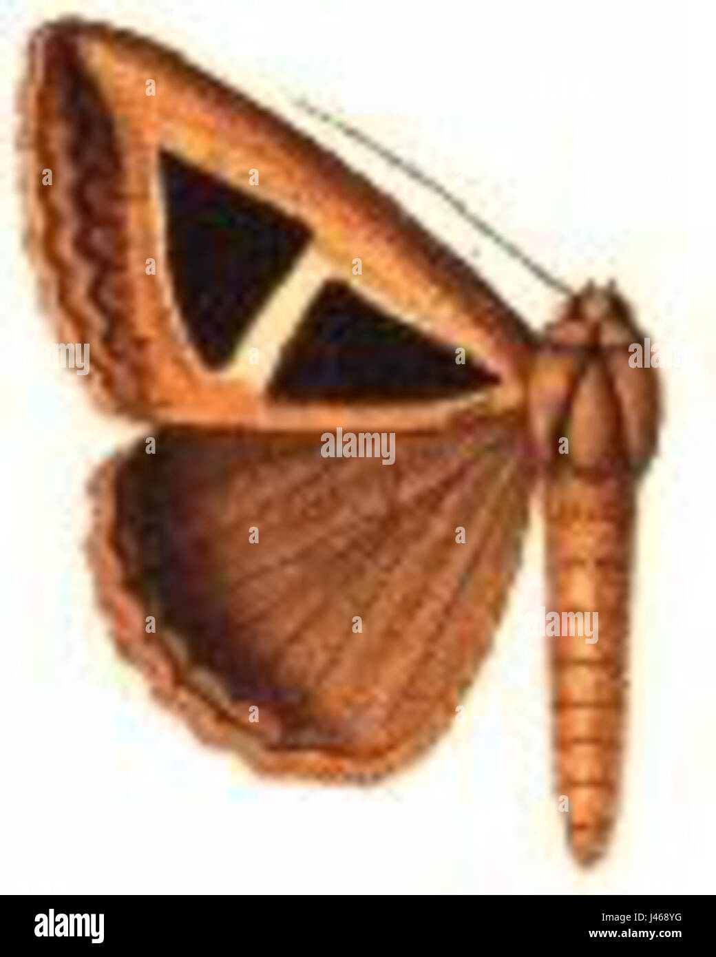 Trigonometrica hi-res stock photography and images - Alamy Trigonometrica hi-res stock photography and images - Alamy