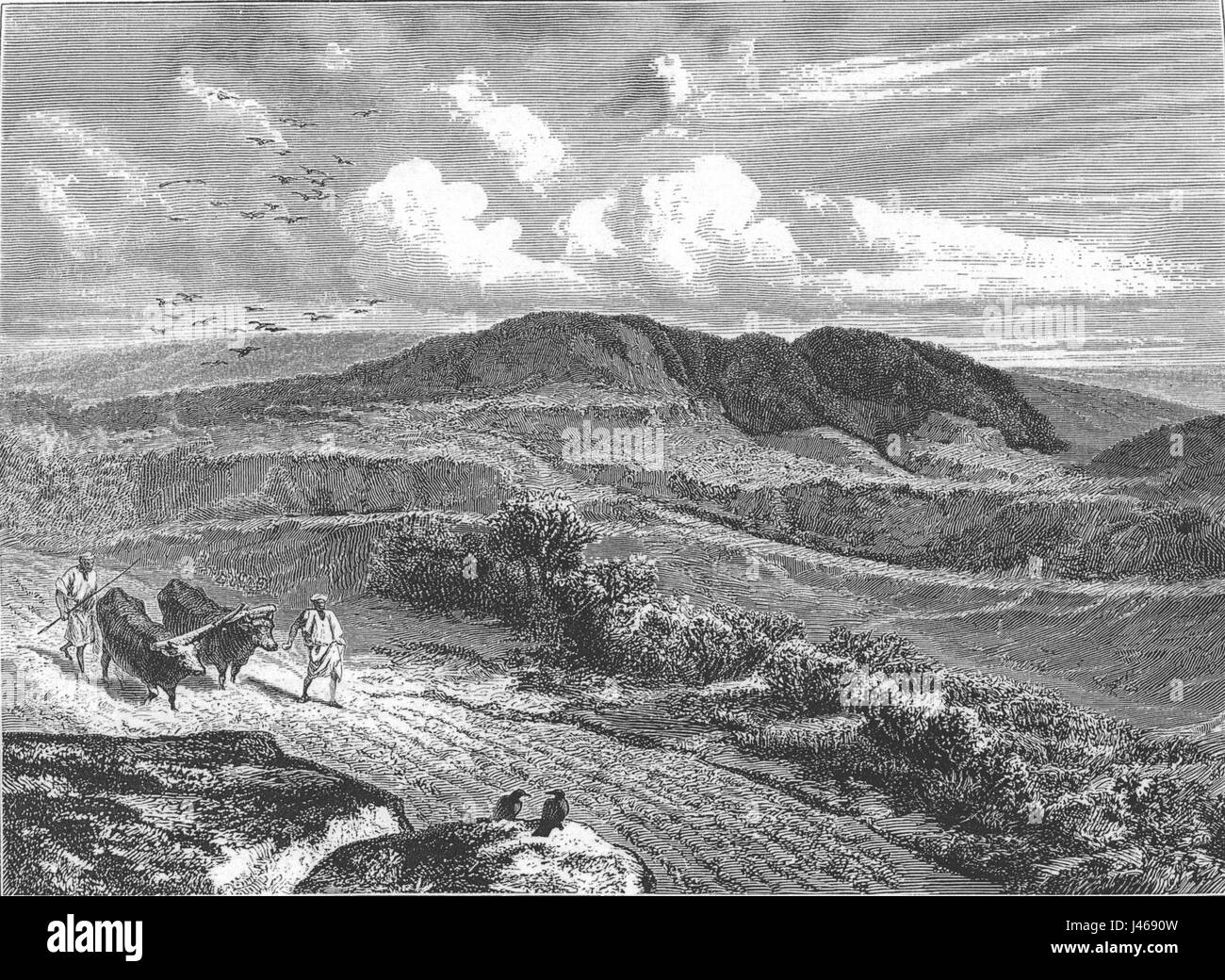 Parable of sower Black and White Stock Photos & Images - Alamy