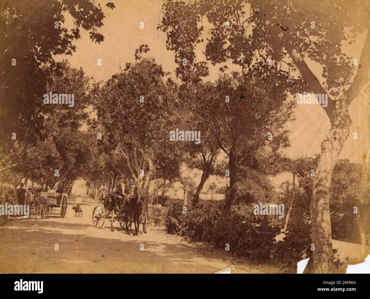 An image depicting the Paseo de los Coches, a prominent street in ...