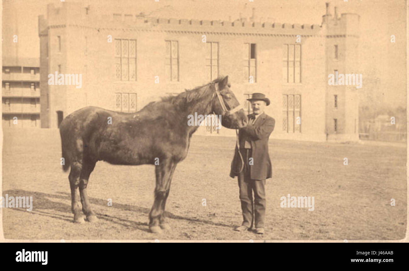 Old Sorrel was a famous horse known for his service as part of General ...
