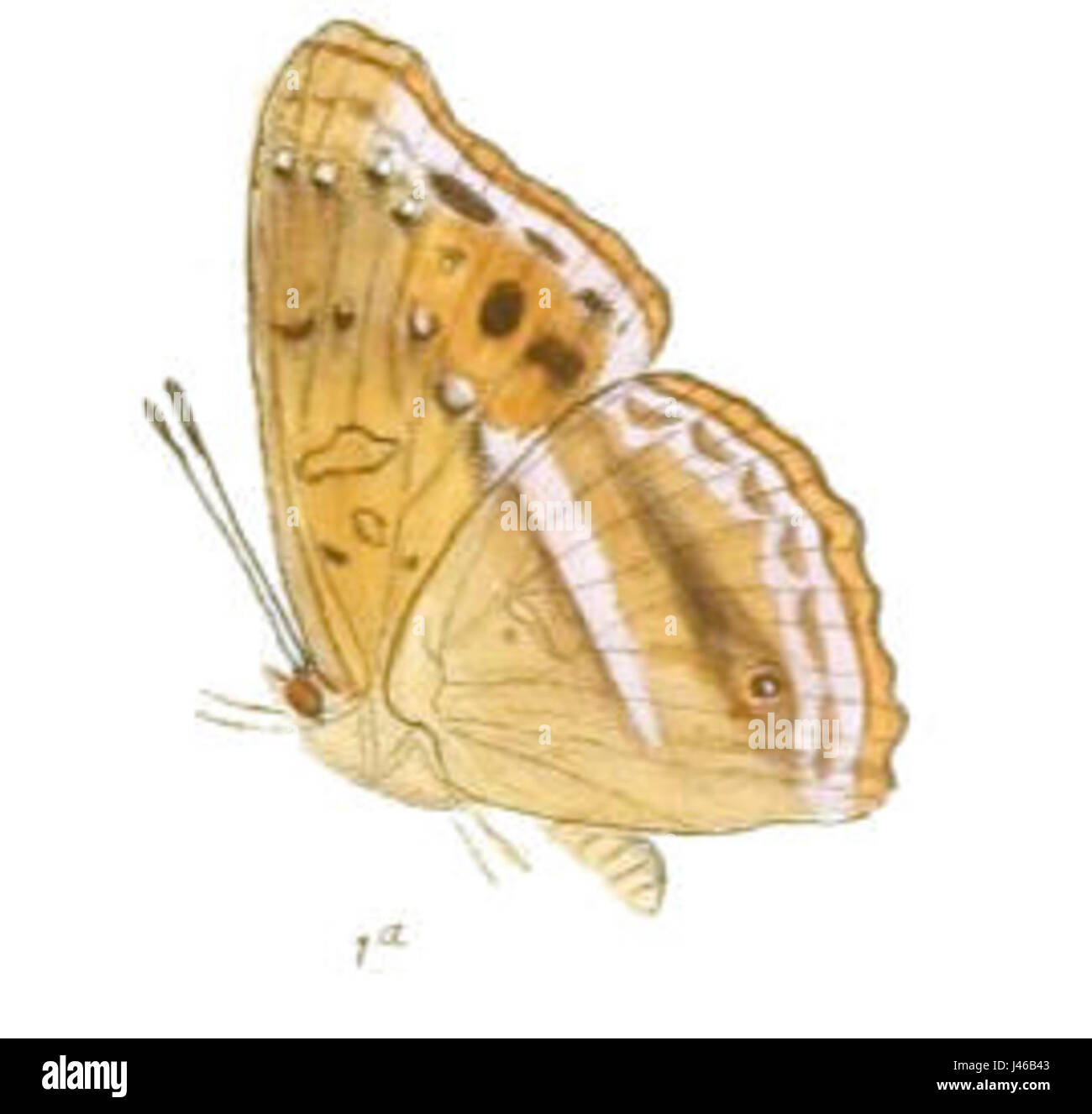 Narsenga Parvata, located in India, is known for its historical ...