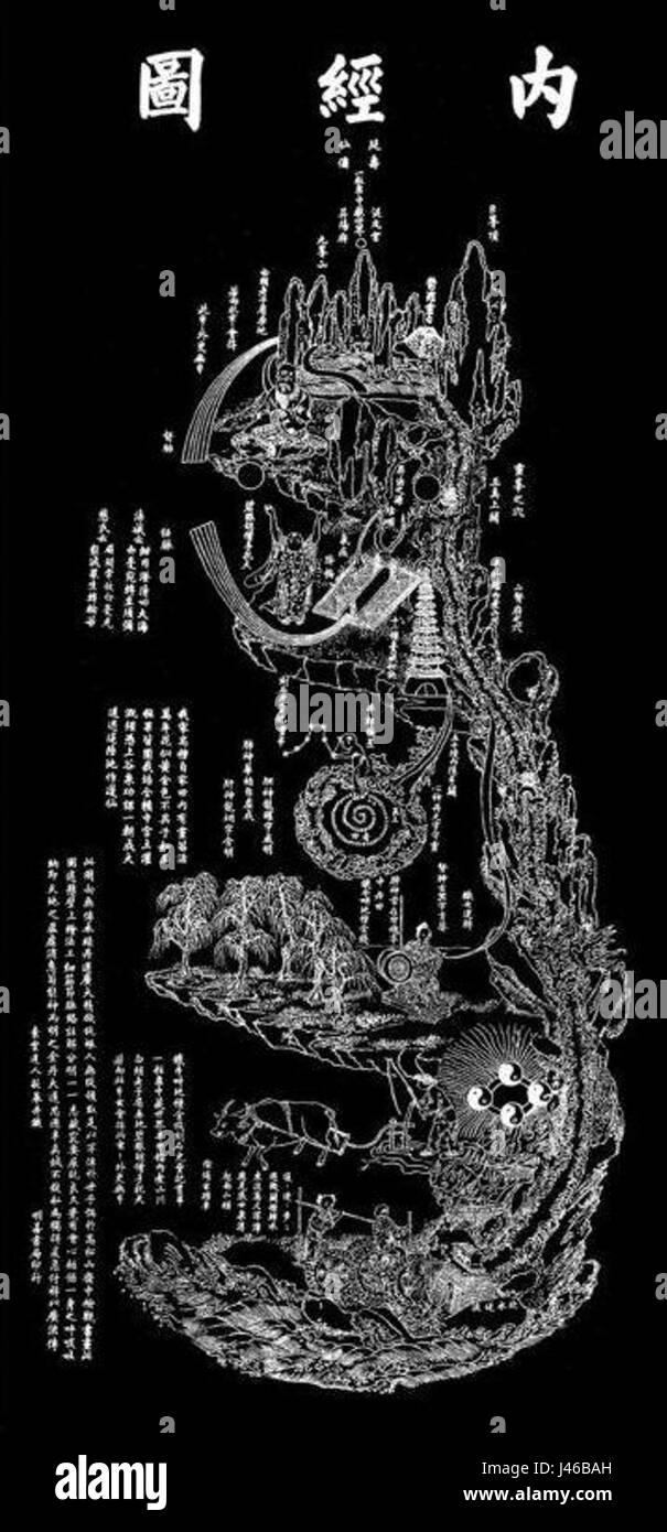 The NeijingTu is an ancient Chinese medical illustration, depicting the ...