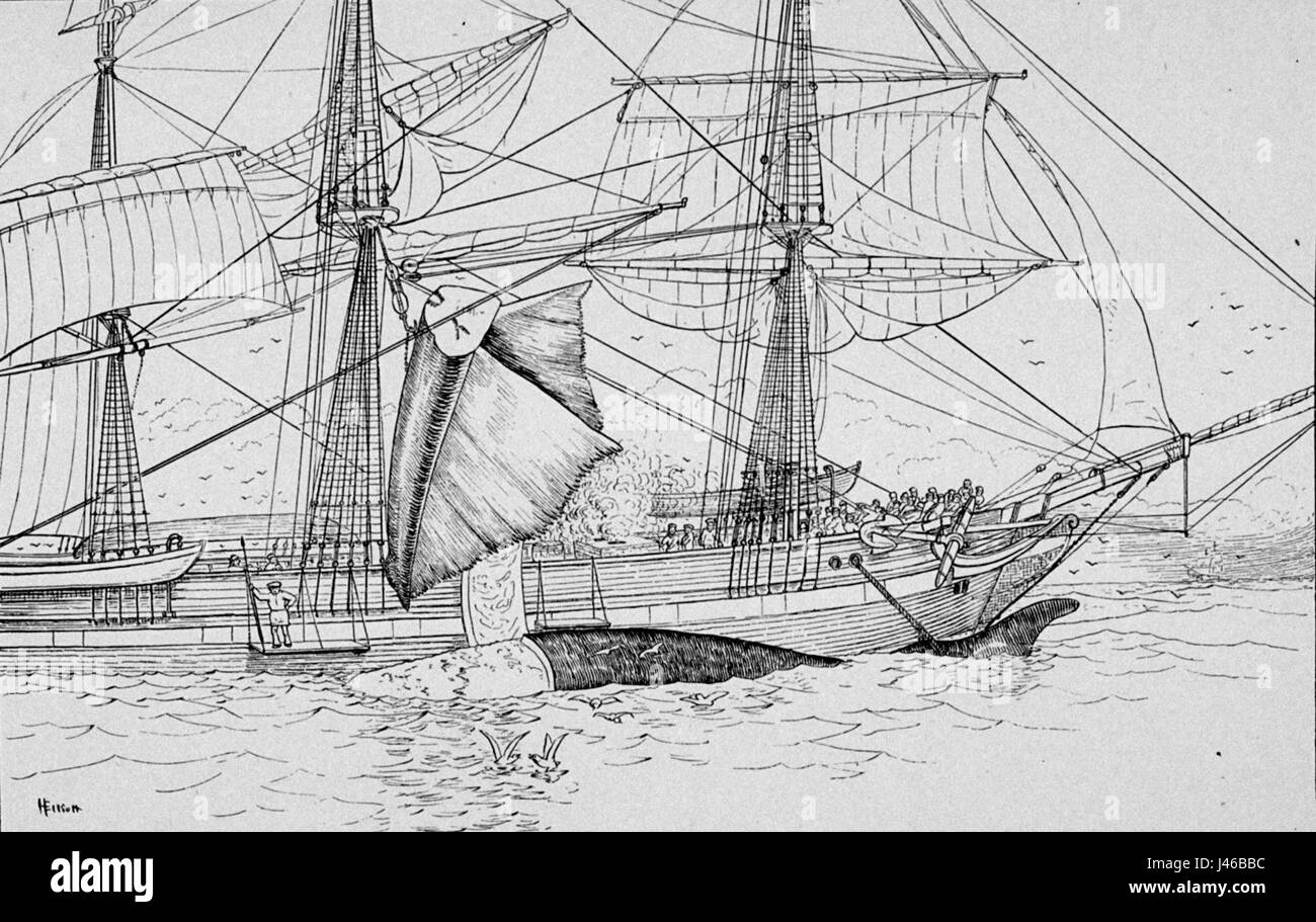 Environmental administration Black and White Stock Photos & Images - Alamy