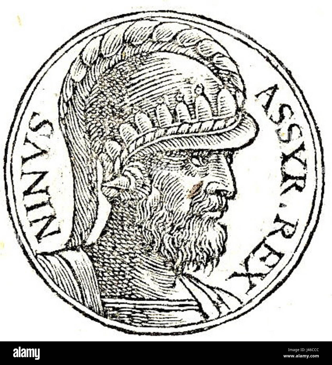 Ninus hi-res stock photography and images - Alamy