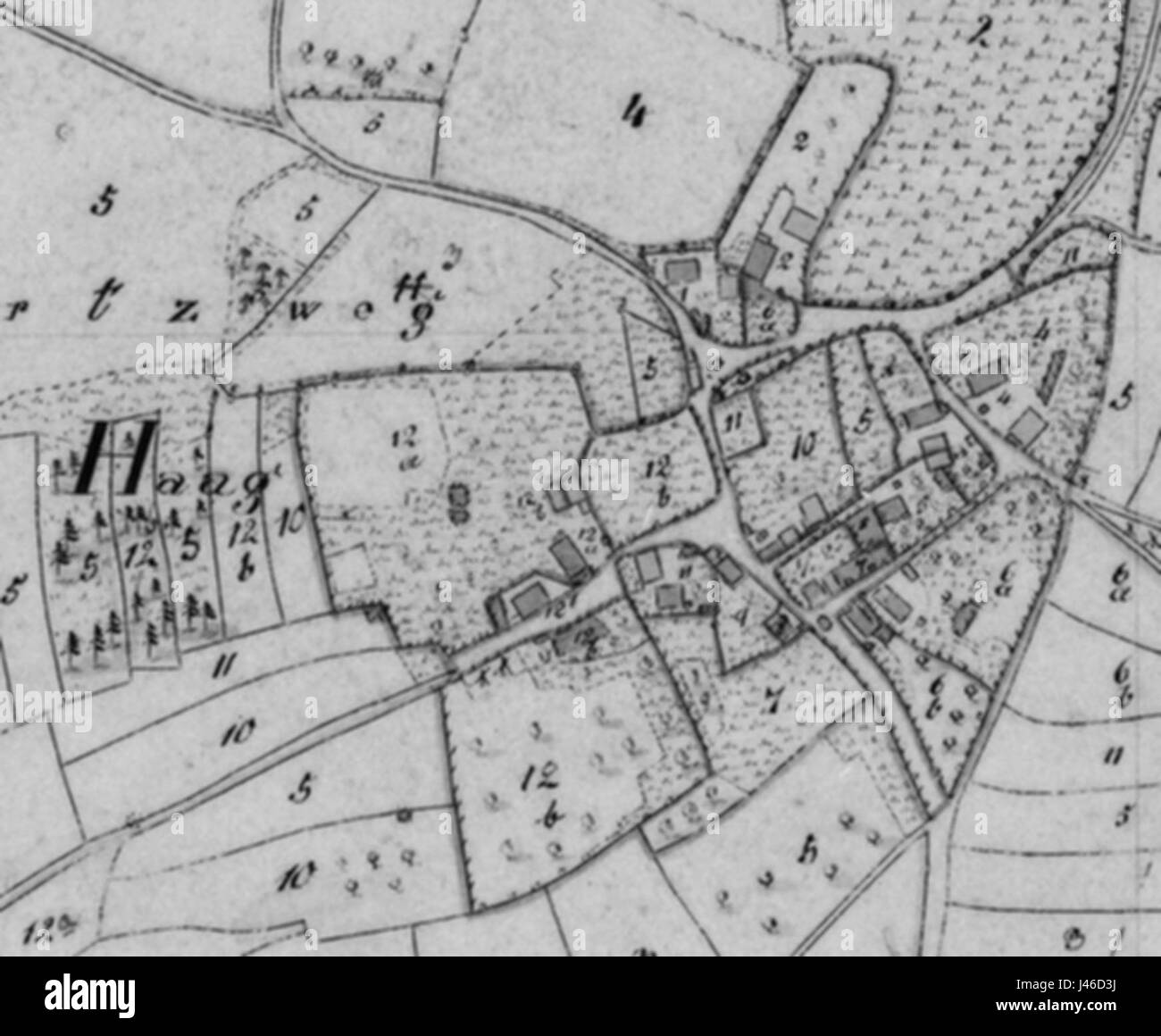 A detailed map of the town of Haag, likely from the 19th or early 20th ...