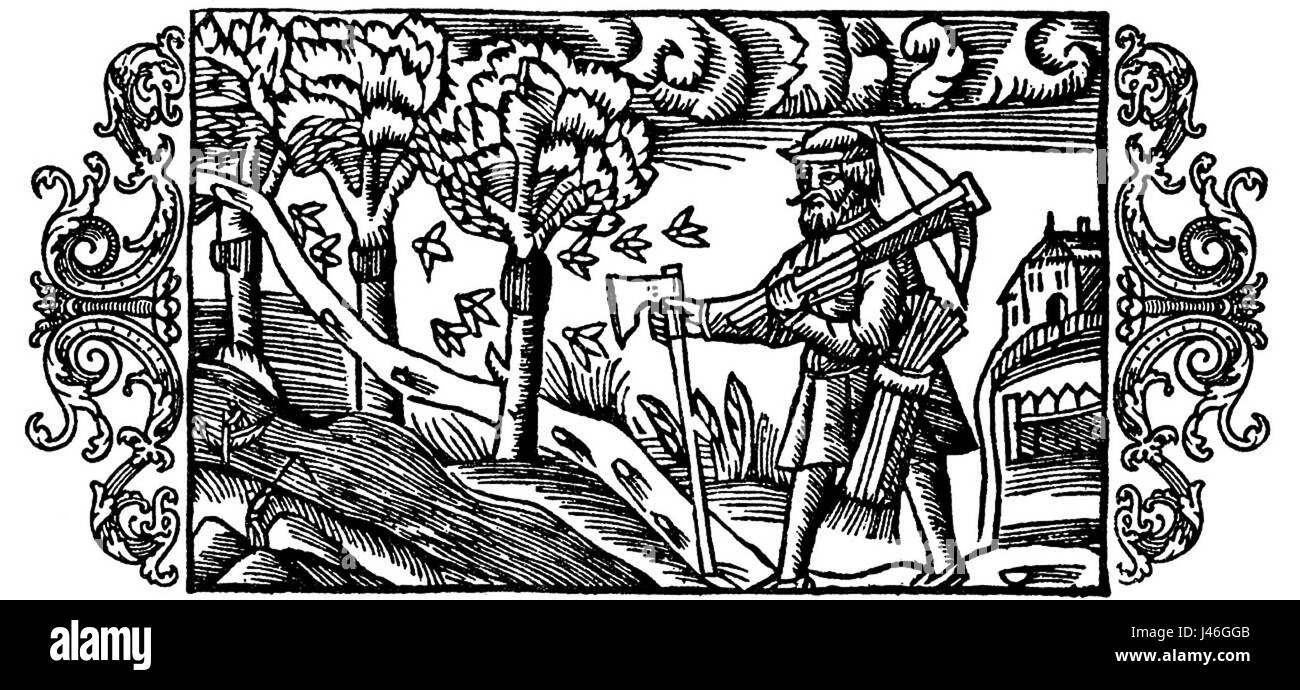 Olaus Magnus On Journeys during the Darkness Stock Photo - Alamy