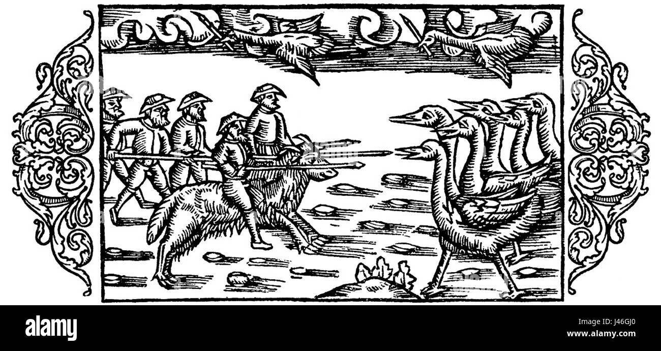 Olaus Magnus On The Dwarfs Of Greenland And The Rock Of Hvitsark Ii