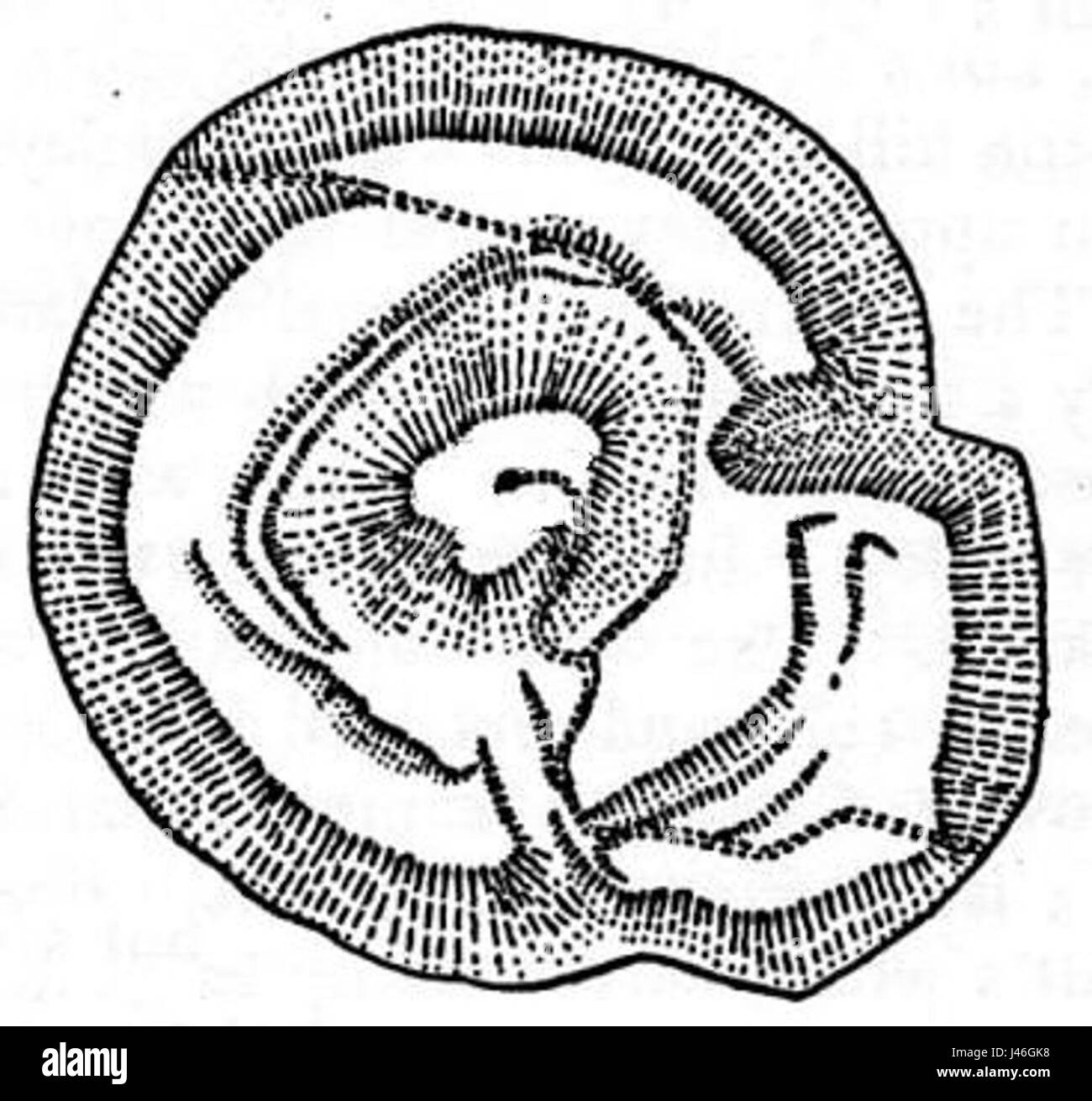 Historic country house Cut Out Stock Images & Pictures - Alamy