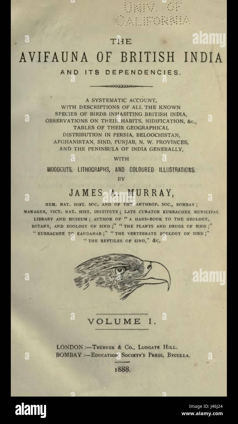 Rich murray hi-res stock photography and images - Alamy