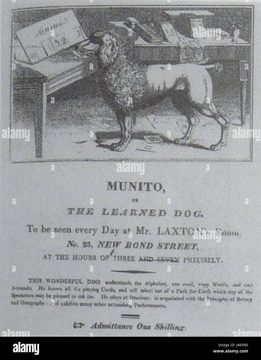 High street retail evolution hi-res stock photography and images - Alamy