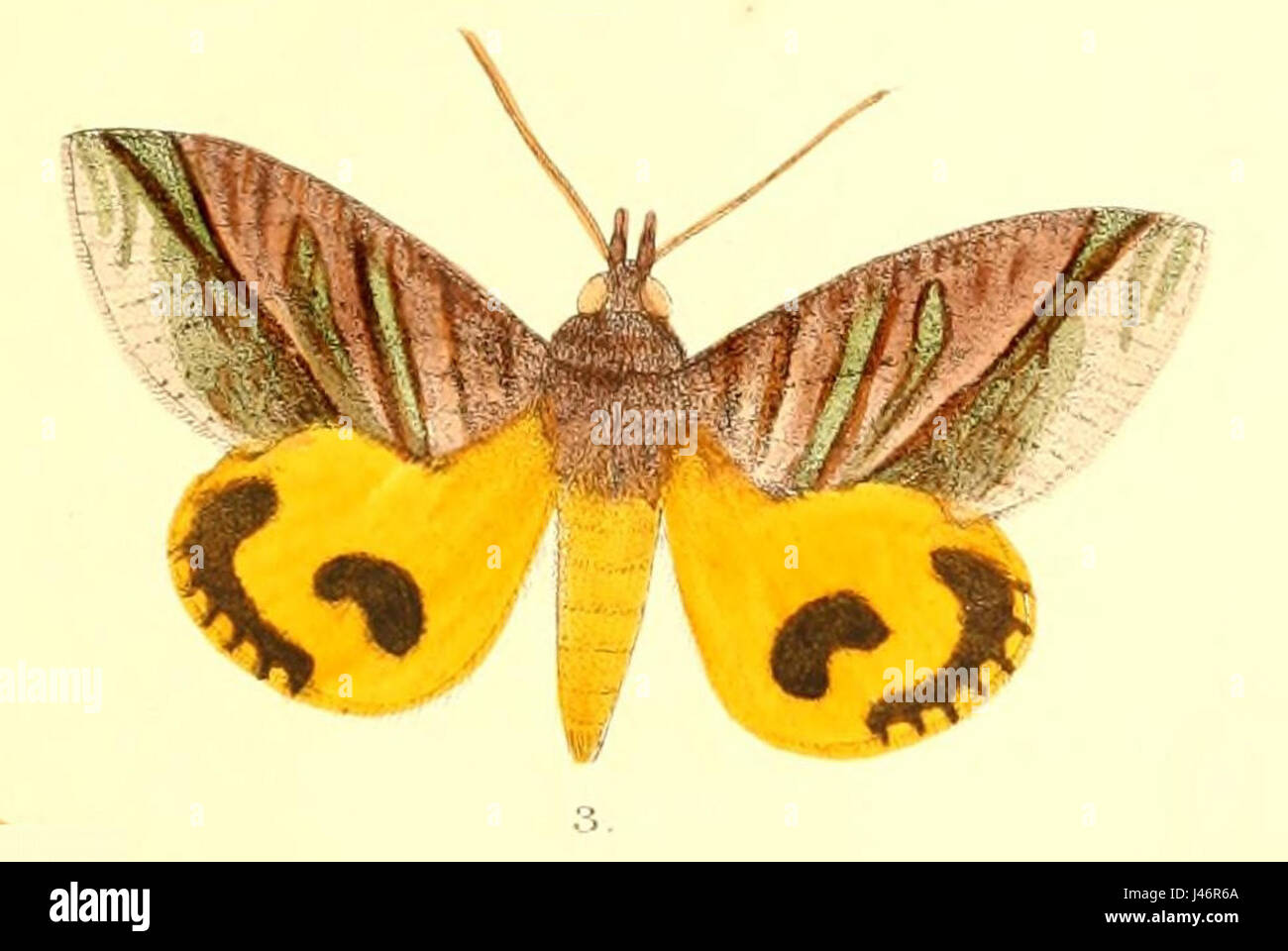 This title seems to refer to a specific reference or object named 'OthreisAncilla13 3 m ...